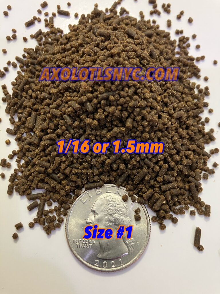 Food Pellets - Axolotls NYC