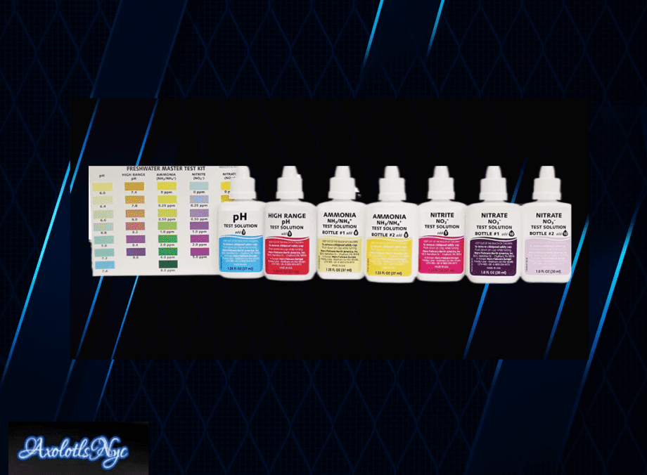 API Test Kit - Axolotls NYC