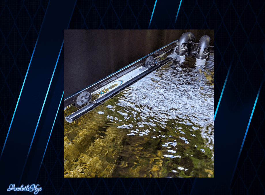 Fluval Spray Bar Kit - Axolotls NYC
