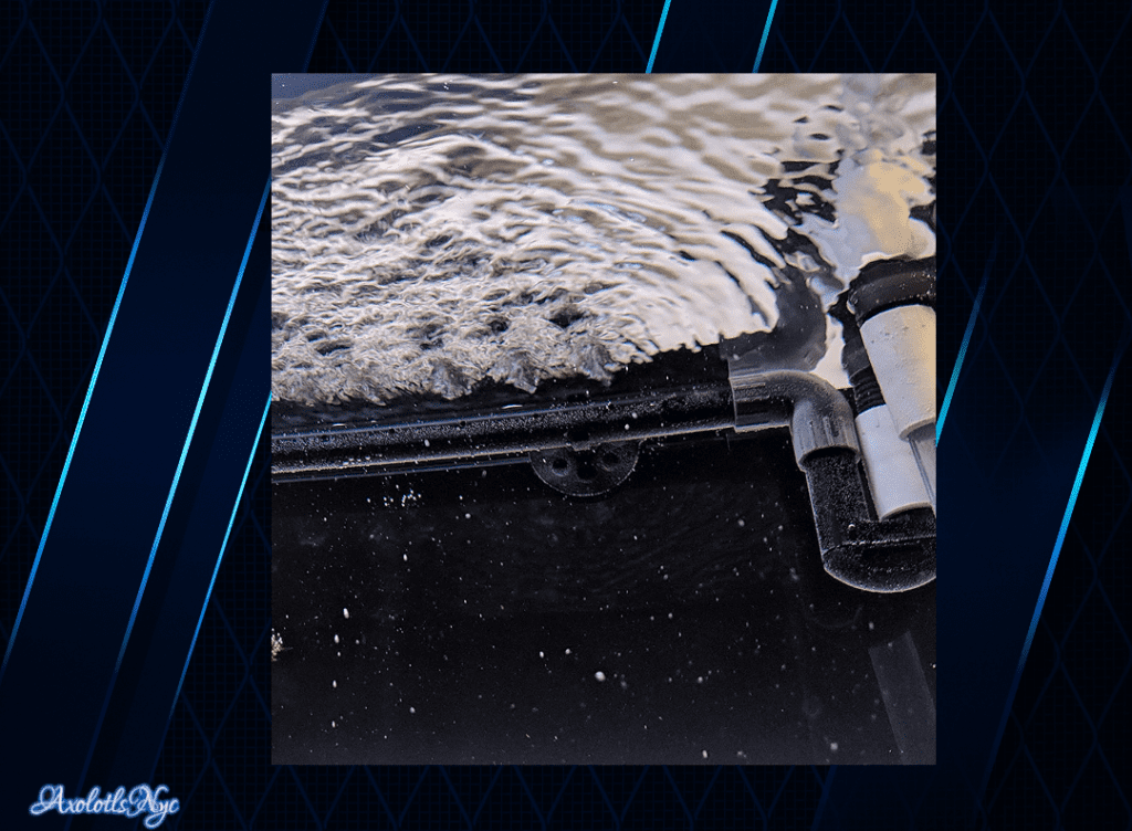 Fluval Spray Bar Kit - Axolotls NYC