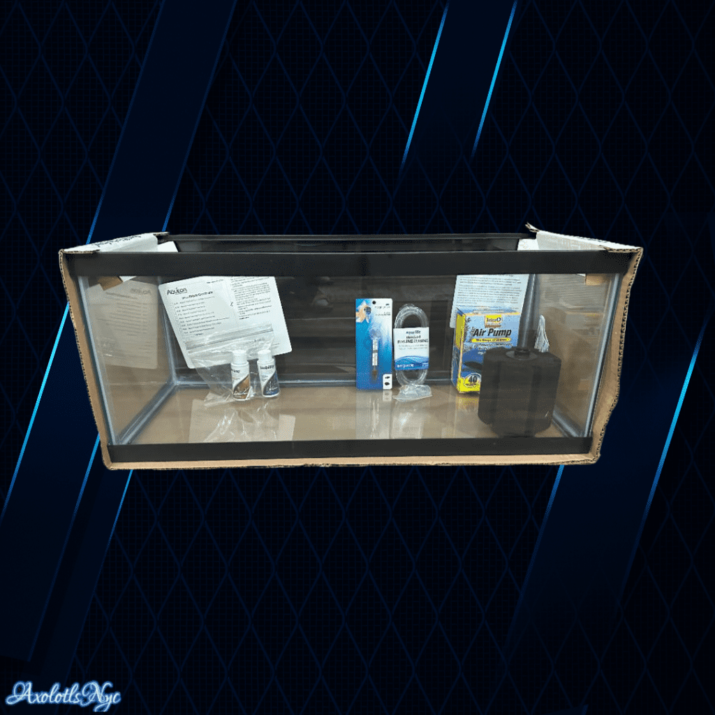 20 Gallon long aquarium / Fish Tank set up - Axolotls NYC