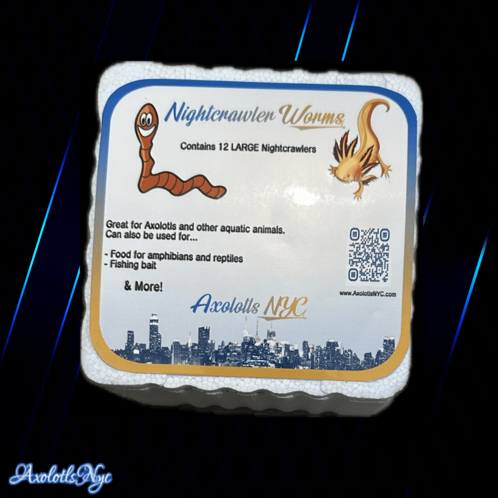 12 European Nightcrawlers or 12 Canadian Nightcrawlers - Axolotls NYC