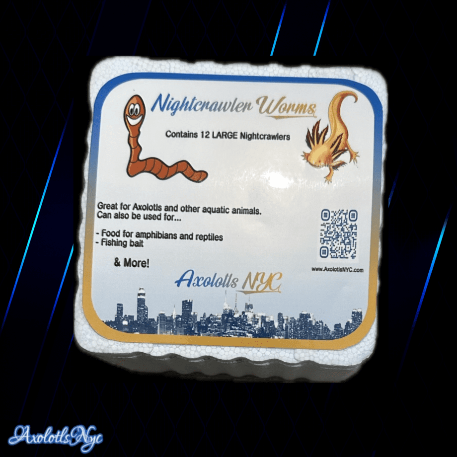 12 European Nightcrawlers or 12 Canadian Nightcrawlers - Axolotls NYC