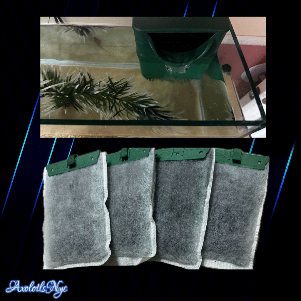 Cycled filter media - Axolotls NYC