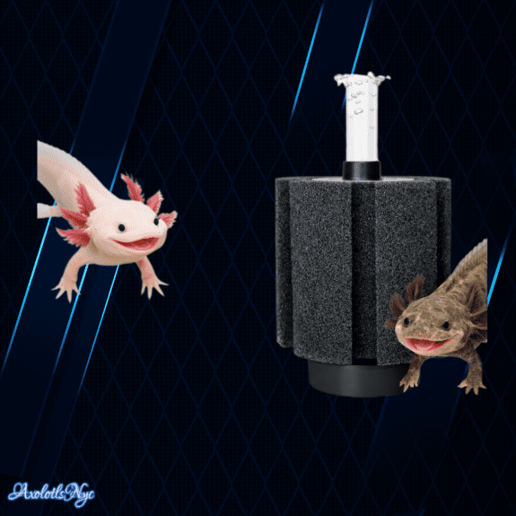 Front Page - Axolotls NYC